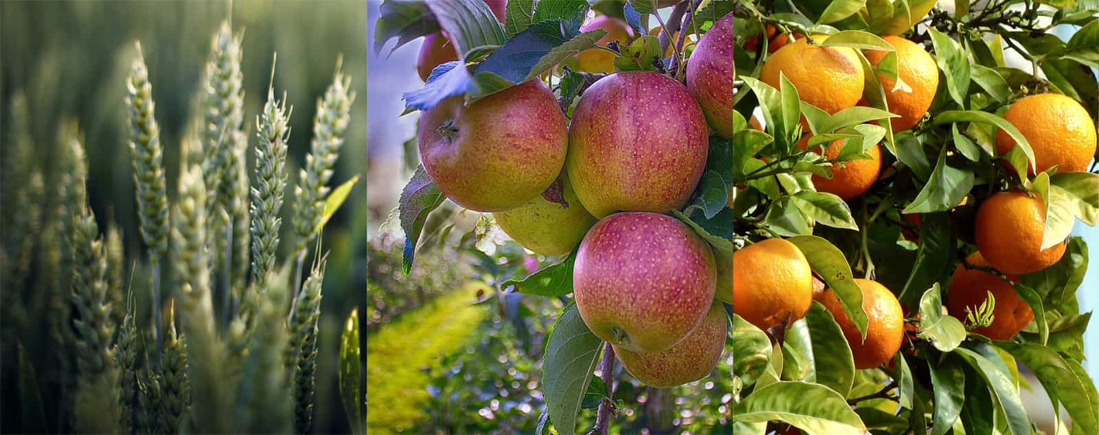 Production Software - Vinsight